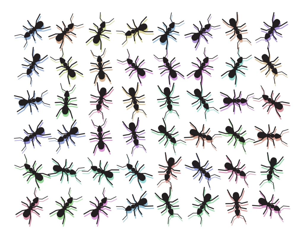 Sample projects – Paragraphic